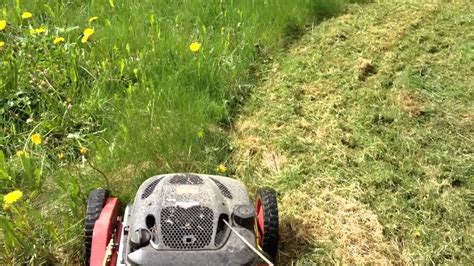 Do Not Be Tempted To Cut Your Long Grass Down In One Cut