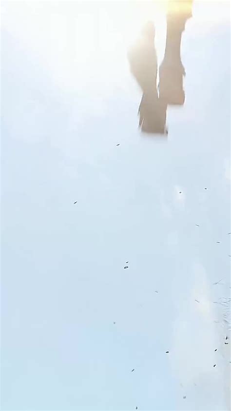 咪咕文化搜索