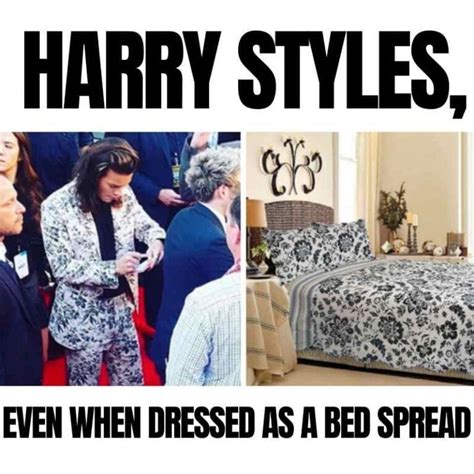 15 Golden Harry Styles Memes That Are As Iconic As His Outfits
