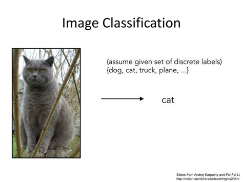 Computer Vision Image Classification Pptx Artificial Intelligence