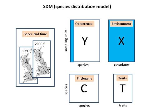 Analyzing Community Data With Joint Species Distribution Models