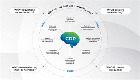 8 CDP Best Practices For Businesses And Marketers Apiary Digital
