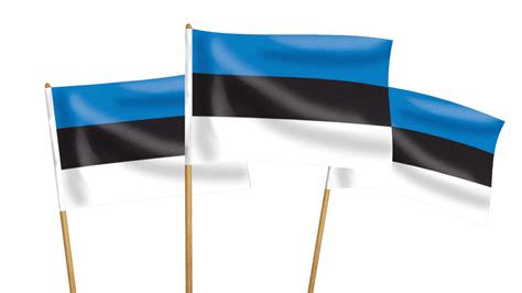 Estonia Flag Hampshire Flag Company