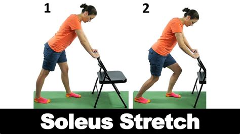 Soleus Calf Muscle Exercises At Henry Clunie Blog