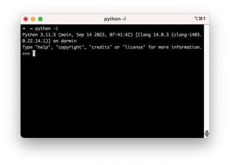 Repl Python Perusteet