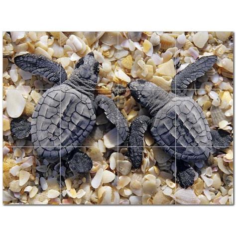 Turtle Backsplash Etsy