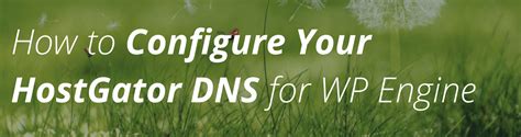 How To Configure Your Hostgator Dns For Wp Engine Wp Engine®