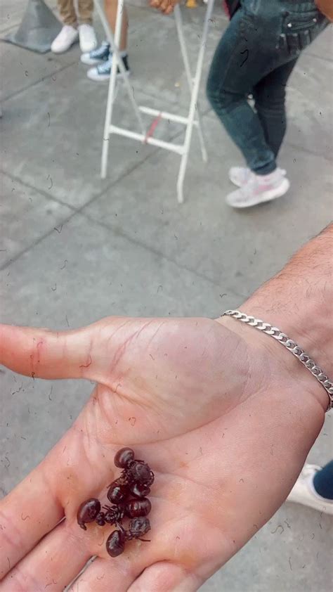 Maximo Garcia On Twitter My Daily Breakfast 🤓 Irv8y3r5tc Twitter