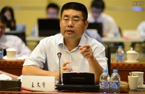 王文学董事长幸福第6页大山谷图库