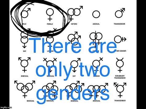 Ehs Memes And S Imgflip
