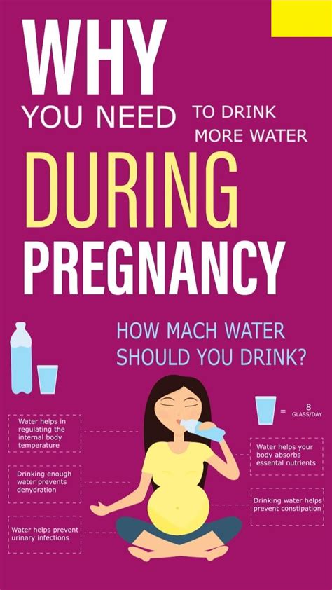 Why Drinking Too Much Water During Pregnancy Is Not A Concern