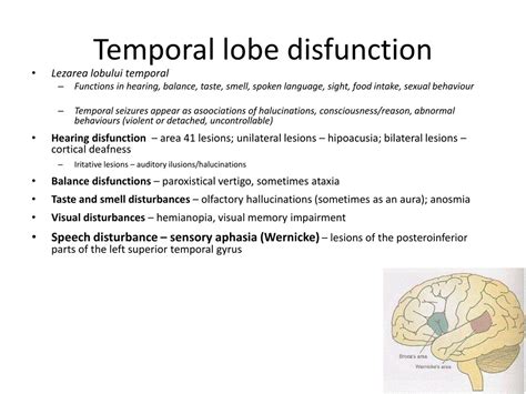 Ppt Parietal And Temporal Lobe Syndromes Powerpoint Presentation