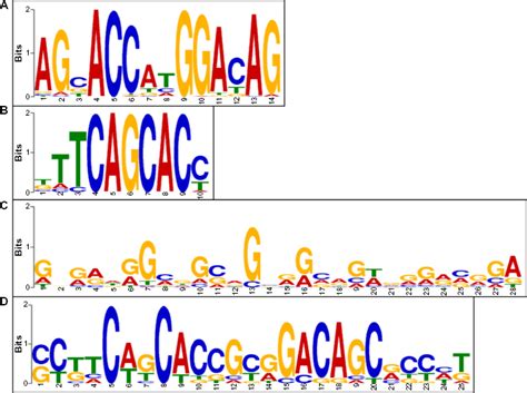 Identification Of Nrsf Binding Consensus Motif Sequence The Consensus