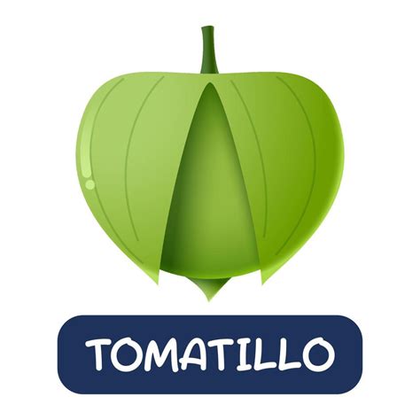 Cartoon Tomatillo Vegetables Vector Isolated On White Background