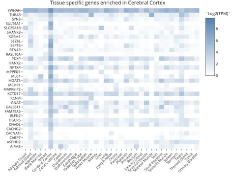 Differential Expression With Deseq2 Griffith Lab