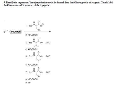 Identify The Sequence Of The Tripeptide That Would Be