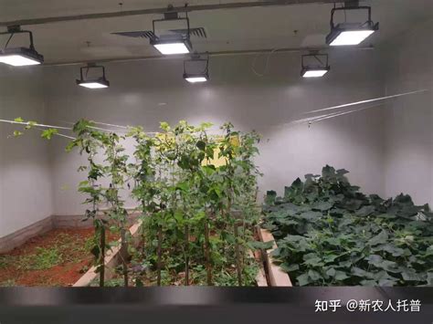 步入式人工气候室（步入式人工气候室介绍） 知乎