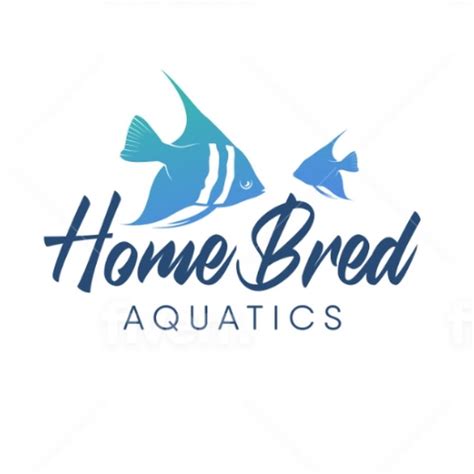 Patrick David Youtube