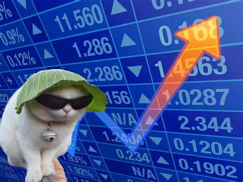 Cabbage Cat Stonks Blank Template Imgflip