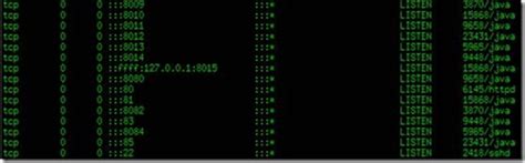 Linux 查看服务启动 以及端口占用 Csdn博客