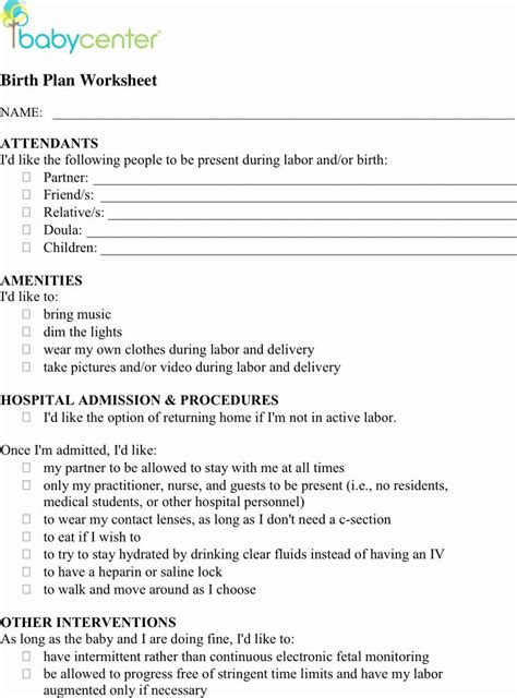 Planned C Section Birth Plan Template
