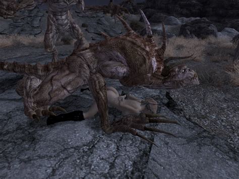 Sexout Fallout New Vegas Sex Screenshots Video Games Pictures