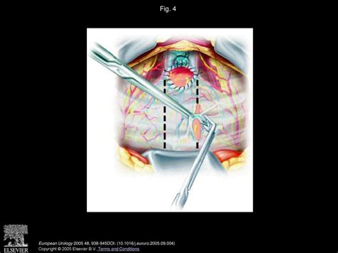 Volume Issue Pages December Ppt Download