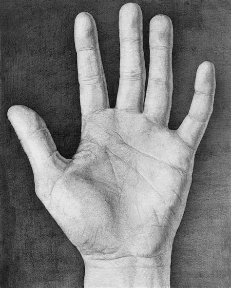 Hand Palm Sketch At Explore Collection Of Hand