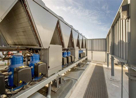 Tinker Koń Cob Irlandzki Koń O Srokatym Umaszczeniu