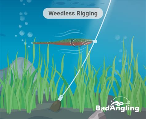 Mastering Bass Fishing Drop Shot Rig Explained Badangling