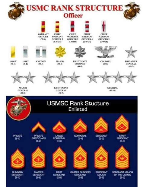 Usmc Rank Structure Chart
