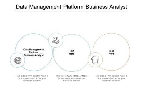 Data Management Platform Business Analyst Ppt Powerpoint Presentation Summary Shapes Cpb