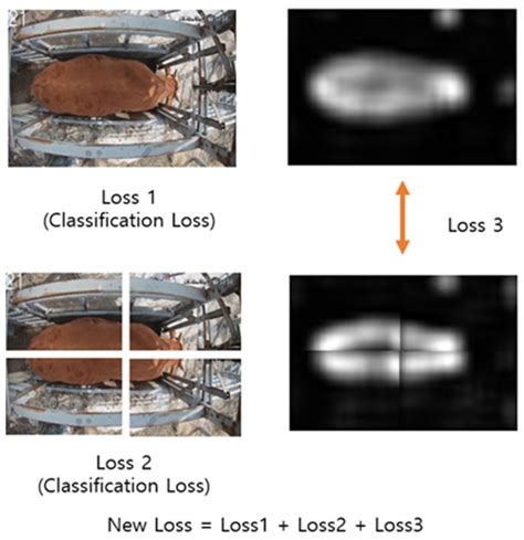 Cattle Weight Estimation Using Fully And Weakly Supervised Segmentation