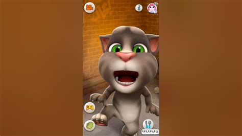 القط توم المتكلم 😂🤕 Youtube