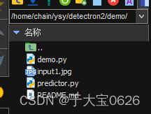 Ubuntu下配置detectron ubuntu安装detectron CSDN博客
