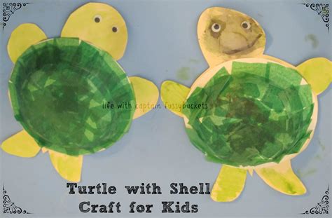 Turtle With Shell Craft