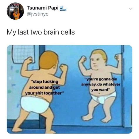 Pin On Funny Tweets