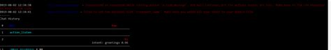 Cant Get My Custom Action To Work 45 By Juliangerhard Deprecated Rasa X Community