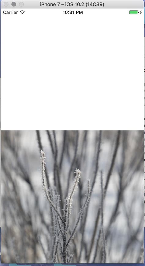 Ios How Do I Make A Uiimageview Fill A Uitableviewcell Stack Overflow