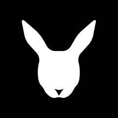 ZEIT Serverless SSR A Case Study Uknmr