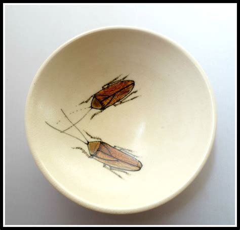 Cockroach Dish Hunting For Vintage
