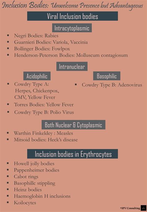 Inclusion Bodies Unwelcome Presence But Advantageous Microdigest