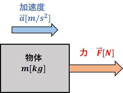 物理基礎：運動方程式 オンライン無料塾「ターンナップ」