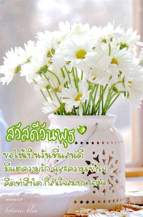 Pin By Ramchai Chuenbumrung On สวัสดีวันพุธ Good Morning Saturday Beautiful Ts Beautiful