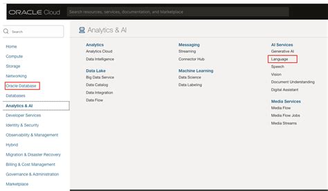 Detecting And Masking Personal Identifiable Information Using Oci