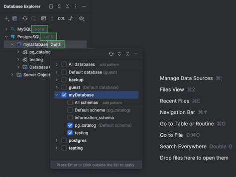 Metadata And Introspection Datagrip Documentation