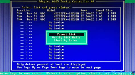 Presentation Of The Adaptec Configuration Utility Acu Of The Adaptec Raid 6405 Controller