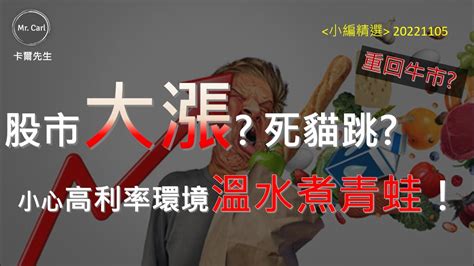 股市大漲 死貓跳 重回牛市 小心高利率環境溫水煮青蛙！ep154小編精選 Youtube