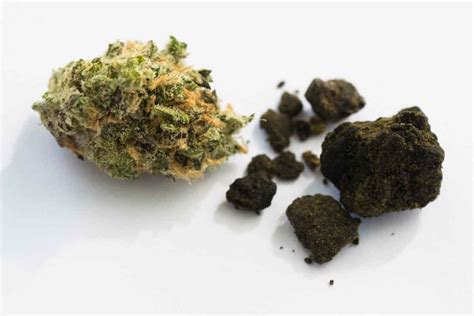 Hash Vs Flower A Little Bud