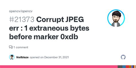 Corrupt JPEG Err 1 Extraneous Bytes Before Marker 0xdb Issue 21373
